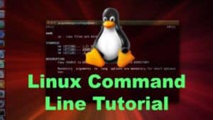 La Command Line Linux. Alcuni comandi principali del terminale (Bash). - Bartolomeo Alberico